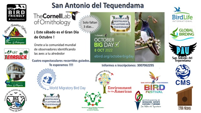 World Migratory Bird Day 2022 & October Big Day 2022 | World Migratory ... World Migratory Bird Day 2022 & October Big Day 2022 | World Migratory ...